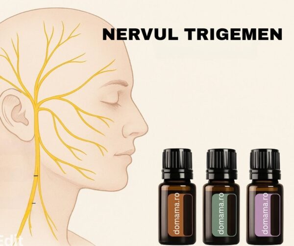 Nervul Trigemen – Domama | Uleiuri DoTerra si cum sa le folosesti